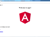 Angular 4 Installations Code4developers