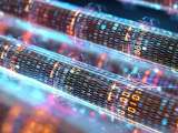 Everyone Talks About Quantum Computing What About Optical Computing