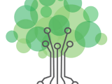 Codebc Csteachingtips Org