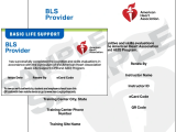 Aha Bls Provider Ecard Code Blue Training