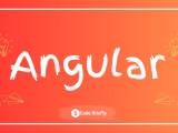 Introduction To Angular 19 Codebriefly
