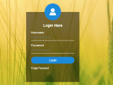 Login Page In Html Codebun