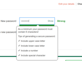 Password Validation Codebun