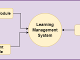 Learning Management System In Java Using Jsp And Servlet With Source