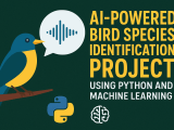 Bird Species Recognition Project Using Python Ai Ml And Deep Learning