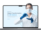 Codebyte Solutions Software Development Company Web Mobile Solutions