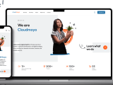Codebyte Solutions Software Development Company Web Mobile Solutions