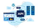 Wordpress Api Integration Development Code Canel