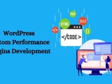 Wordpress Custom Performance Plugins Development Code Canel
