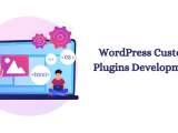Wordpress Custom Plugins Development Code Canel