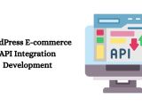 Wordpress E Commerce Api Integration Development Code Canel