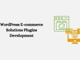 Wordpress E Commerce Solutions Plugins Development Code Canel