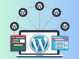 Wordpress Multisite Development Code Canel