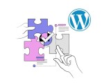 Wordpress Plugin Development Code Canel