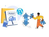 Wordpress Security Auditing Plugins Development Code Canel