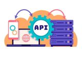 Wordpress Soap Api Integration Development Code Canel