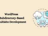 Wordpress Subdirectory Based Multisite Development Code Canel