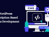 Wordpress Subscription Based Plugins Development Code Canel