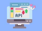 Wordpress Api Specific Integration Plugins Development Code Canel