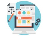 Wordpress Manual Optimization Plugins Development Code Canel