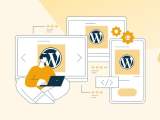 Wordpress Platform Specific Plugins Development Code Canel