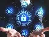 Wordpress Role Based Access Control Plugins Development Code Canel