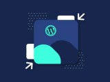 Wordpress Specialized Image Optimization Plugins Development Code Canel