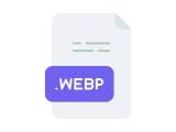 Wordpress Webp Image Conversion Plugin Development Code Canel