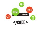 Custom Code Wordpress Plugin Development Code Canel