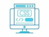 Custom Css Editor Wordpress Plugin Development Code Canel