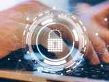 Database Backup Wordpress Plugin Development Code Canel