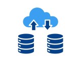 Database Only Migration Wordpress Plugin Development Code Canel