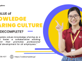 The Values Of Knowledge Sharing Culture At Codecomplete Codecomplete