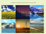 Responsive Image Grid With Hover Effects Codeconvey