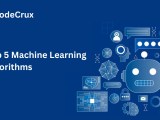 Top 5 Machine Learning Algorithms Codecrux Web Technologies Pvt Ltd