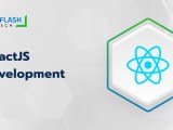 Reactjs Development Services Reactjs Development Company