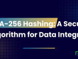 Sha 256 Hashing A Secure Algorithm For Ensuring Data Integrity