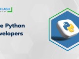 Hire Python Developer Dedicated Programmers For Hire In 2 Days