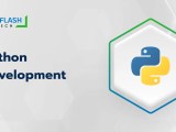 Top Python Development Company Python Development Service