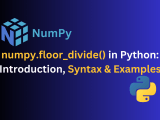 Numpy Floor Divide In Python A Detailed Guide Codeforgeek