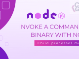Executing Command Line Binaries With Node Js A Detailed Guide