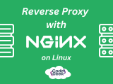 Set Up An Nginx Reverse Proxy On Linux With Node Js Application
