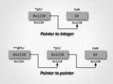 Pointer To Pointer Double Pointer In C Codeforwin