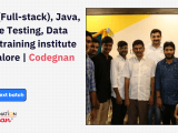 Python Java Software Testing Training Institute In Bangalore Codegnan