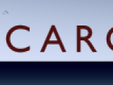 Codehaus Cargo Home