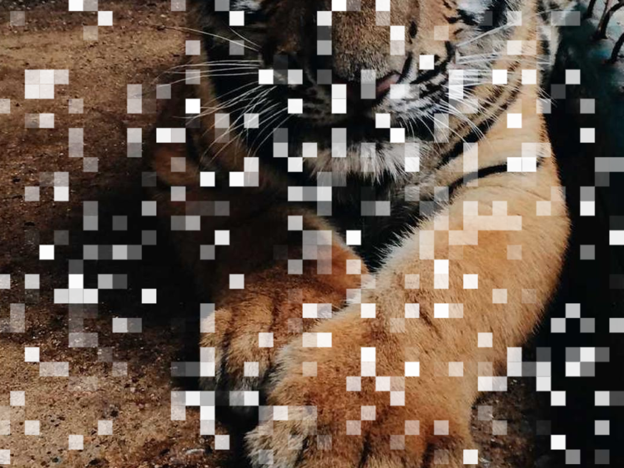 Css Glowing Border Animation Codehim