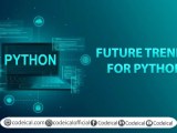 Future Trends For Python Codeical