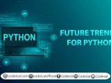 Future Trends For Python Codeical