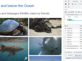 Getting Started With Standalone Components Google Codelabs
