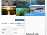 Getting Started With Standalone Components Google Codelabs